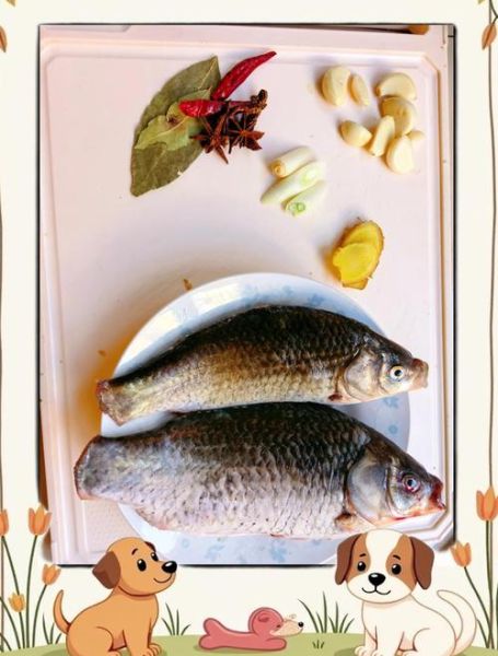 红烧鲫鱼怎么做好吃_家常红烧鲫鱼做法视频教程-第3张图片-山城妙识