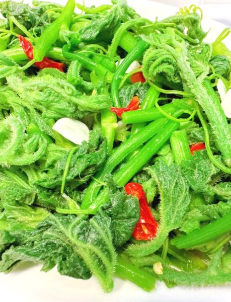 炒南瓜尖怎么做_南瓜尖炒前要不要焯水-第2张图片-山城妙识 炒南瓜尖怎么做_南瓜尖炒前要不要焯水-第2张图片-山城妙识