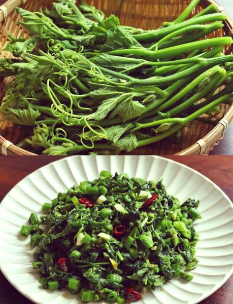 炒南瓜尖怎么做_南瓜尖炒前要不要焯水-第1张图片-山城妙识 炒南瓜尖怎么做_南瓜尖炒前要不要焯水-第1张图片-山城妙识