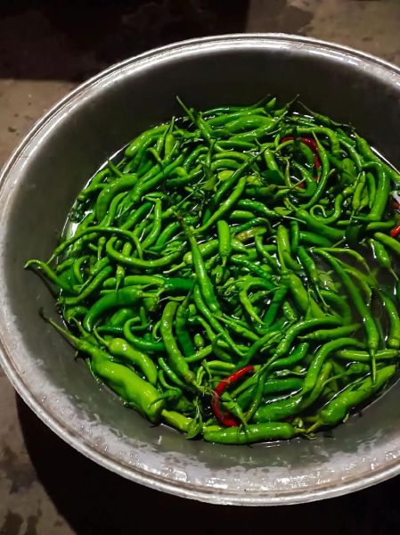 家庭腌制辣椒怎么做_腌制辣椒用什么盐最好-第1张图片-山城妙识