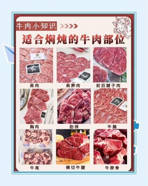 牛肉怎么炖才软烂入味_炖牛肉用什么部位最好-第1张图片-山城妙识