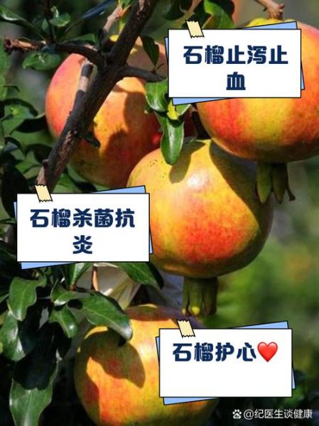 吃石榴对身体有什么好处_石榴的营养价值有哪些-第2张图片-山城妙识 吃石榴对身体有什么好处_石榴的营养价值有哪些-第2张图片-山城妙识
