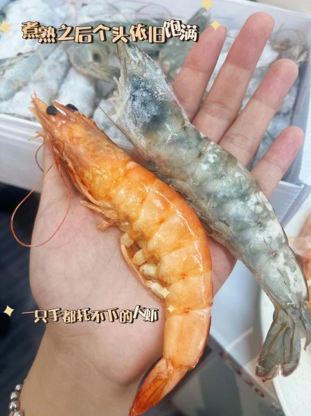 厄瓜多尔白虾检测出病毒_还能吃吗-第3张图片-山城妙识