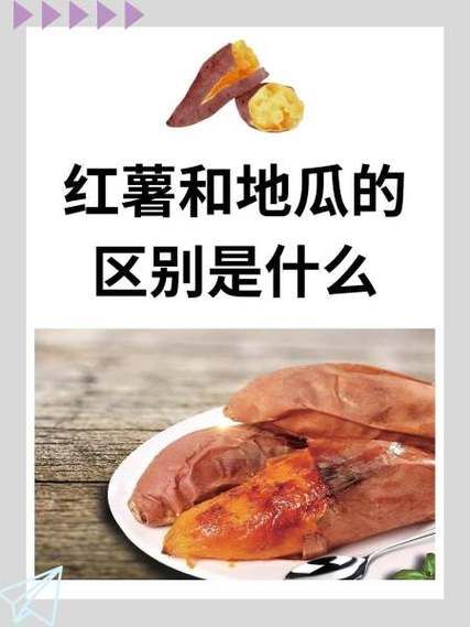 番薯是红薯吗_红薯和番薯的区别-第3张图片-山城妙识