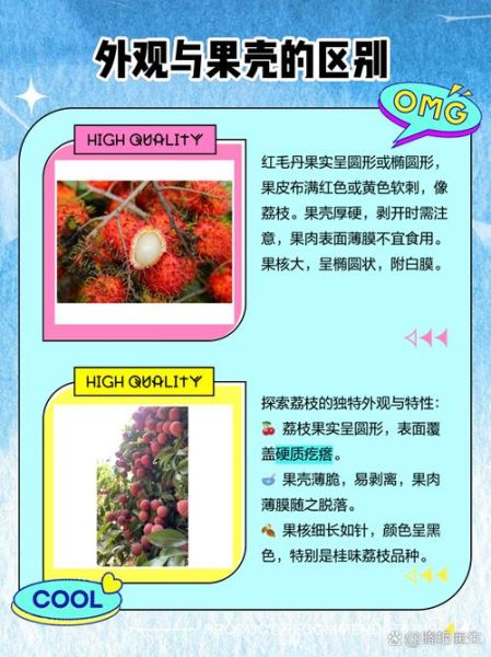 红毛丹和荔枝的区别_哪个更好吃-第1张图片-山城妙识