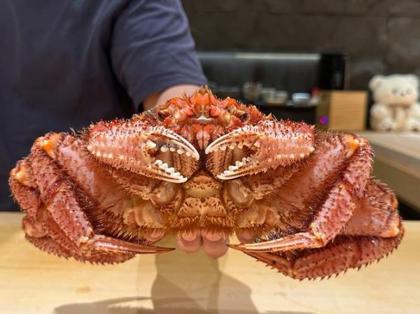 朝鲜红毛蟹多少钱一斤_朝鲜红毛蟹价格走势-第2张图片-山城妙识