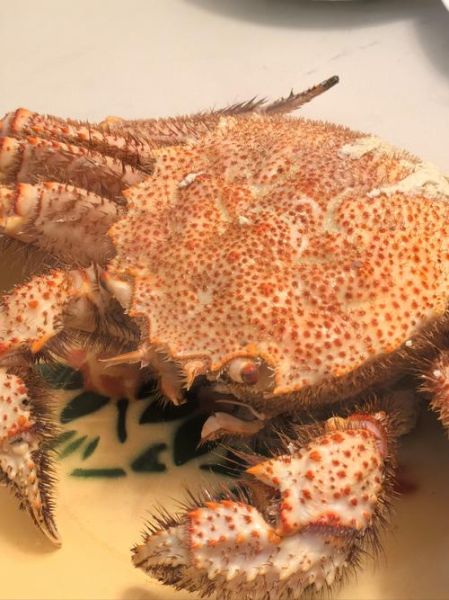 朝鲜红毛蟹多少钱一斤_朝鲜红毛蟹价格走势-第1张图片-山城妙识