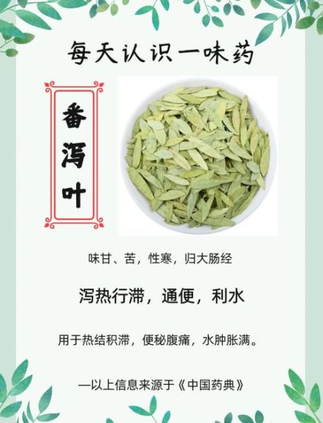 番泻叶可以长期喝吗_番泻叶副作用有哪些-第1张图片-山城妙识