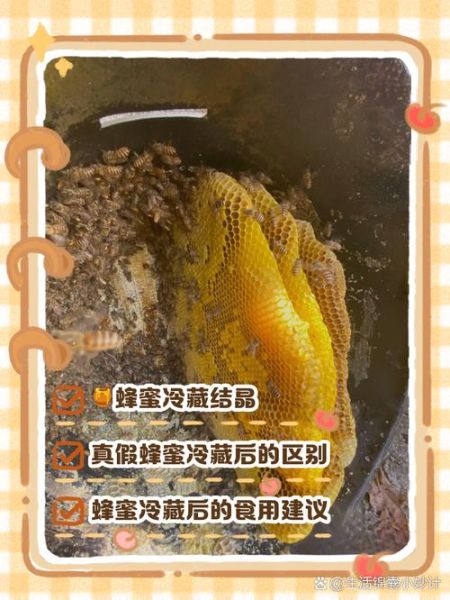 蜂蜜可以冷藏在冰箱吗_蜂蜜放冰箱会不会结晶-第2张图片-山城妙识