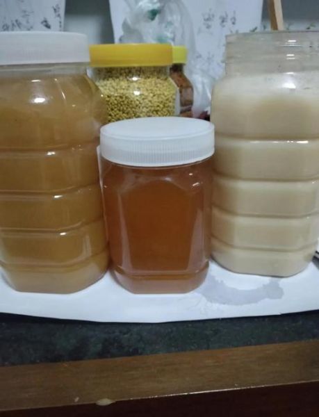 蜂蜜可以冷藏在冰箱吗_蜂蜜放冰箱会不会结晶-第1张图片-山城妙识