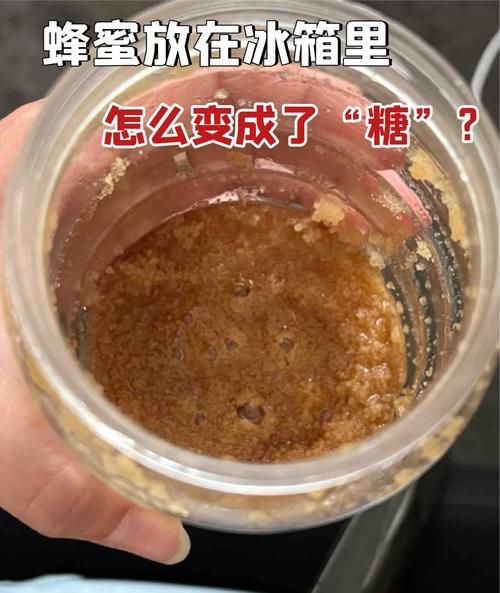 蜂蜜可以冷藏在冰箱吗_蜂蜜放冰箱会不会结晶-第3张图片-山城妙识