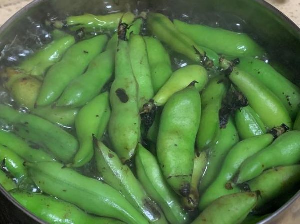 水煮新鲜蚕豆怎么煮_水煮蚕豆要不要焯水-第1张图片-山城妙识 水煮新鲜蚕豆怎么煮_水煮蚕豆要不要焯水-第1张图片-山城妙识