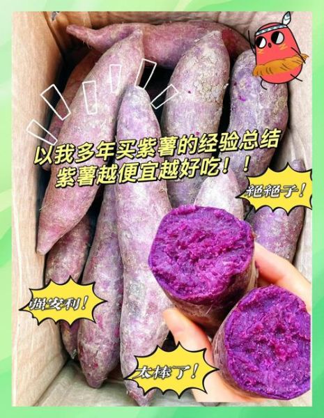 紫署的功效与作用_紫署适合什么人吃-第3张图片-山城妙识 紫署的功效与作用_紫署适合什么人吃-第3张图片-山城妙识