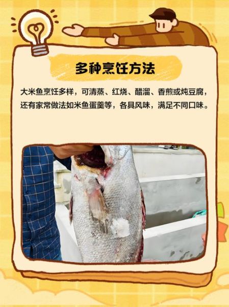 米鱼的营养价值_米鱼适合什么人吃-第2张图片-山城妙识