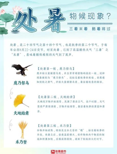 处暑的由来和传说是什么_处暑节气的故事有哪些-第1张图片-山城妙识