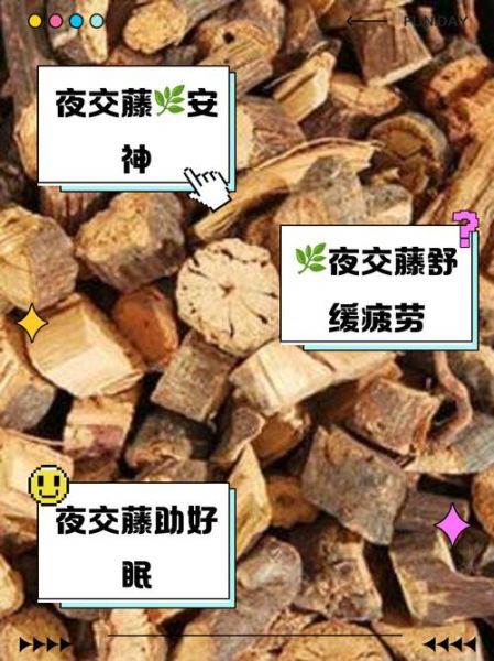 夜交藤泡水喝的功效_夜交藤泡水喝的禁忌-第1张图片-山城妙识 夜交藤泡水喝的功效_夜交藤泡水喝的禁忌-第1张图片-山城妙识