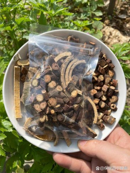 夜交藤泡水喝的功效_夜交藤泡水喝的禁忌-第2张图片-山城妙识 夜交藤泡水喝的功效_夜交藤泡水喝的禁忌-第2张图片-山城妙识