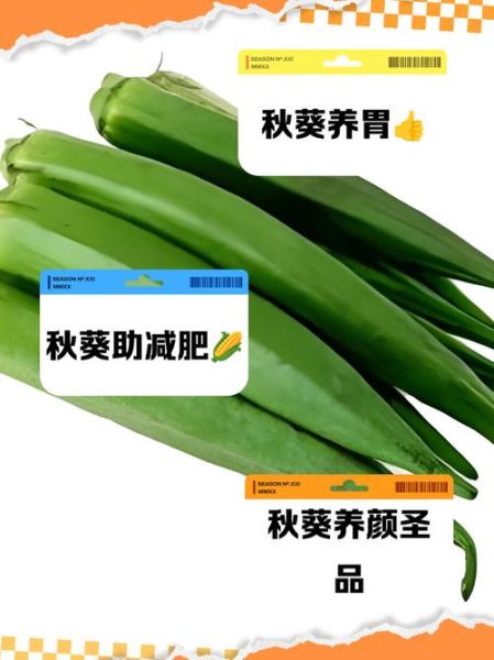 秋葵男人吃了壮阳吗_秋葵壮阳效果真相-第1张图片-山城妙识 秋葵男人吃了壮阳吗_秋葵壮阳效果真相-第1张图片-山城妙识