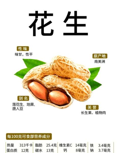 花生有哪些功效与作用_花生禁忌症有哪些-第2张图片-山城妙识 花生有哪些功效与作用_花生禁忌症有哪些-第2张图片-山城妙识