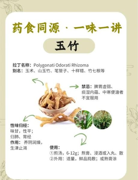 玉竹的功效与作用_玉竹的禁忌有哪些-第1张图片-山城妙识 玉竹的功效与作用_玉竹的禁忌有哪些-第1张图片-山城妙识