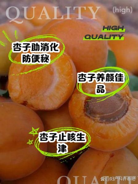 杏的营养价值及功效与作用_吃杏会上火吗-第1张图片-山城妙识