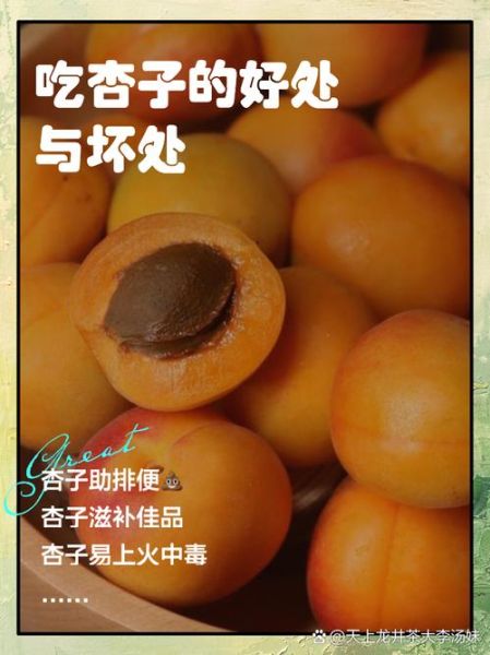 杏的营养价值及功效与作用_吃杏会上火吗-第2张图片-山城妙识