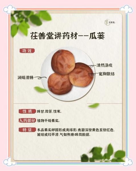 瓜蒌根的功效与作用及禁忌_瓜蒌根泡水喝有什么副作用-第1张图片-山城妙识