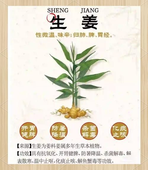 姜的功效与作用_生姜怎么吃最好-第1张图片-山城妙识