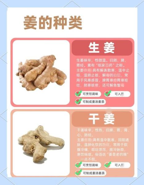 姜的功效与作用_生姜怎么吃最好-第2张图片-山城妙识