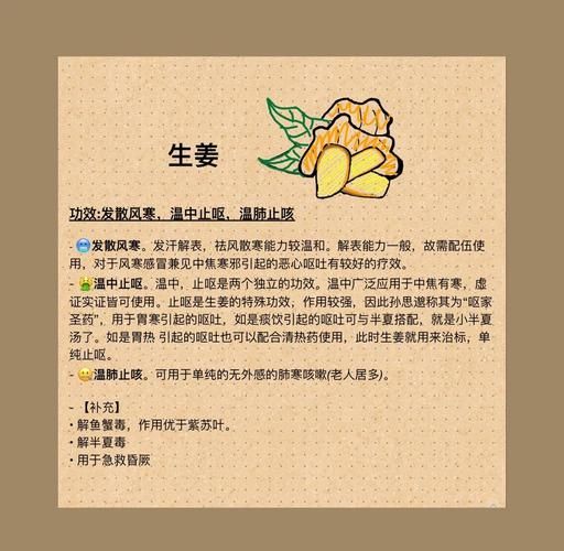 姜的功效与作用_生姜怎么吃最好-第3张图片-山城妙识