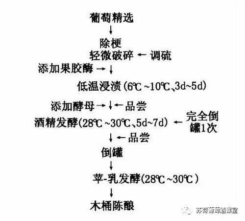葡萄酒怎么酿造_葡萄酒制作全过程-第3张图片-山城妙识 葡萄酒怎么酿造_葡萄酒制作全过程-第3张图片-山城妙识