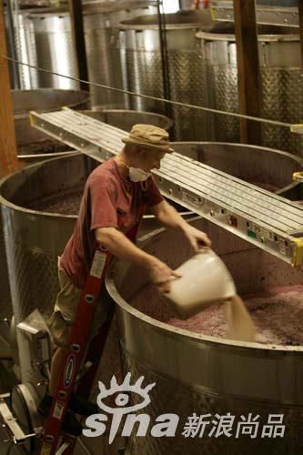 葡萄酒怎么酿造_葡萄酒制作全过程-第2张图片-山城妙识 葡萄酒怎么酿造_葡萄酒制作全过程-第2张图片-山城妙识