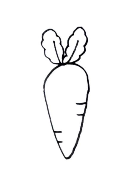 萝卜简笔画图片大全大图_怎么画才好看-第2张图片-山城妙识