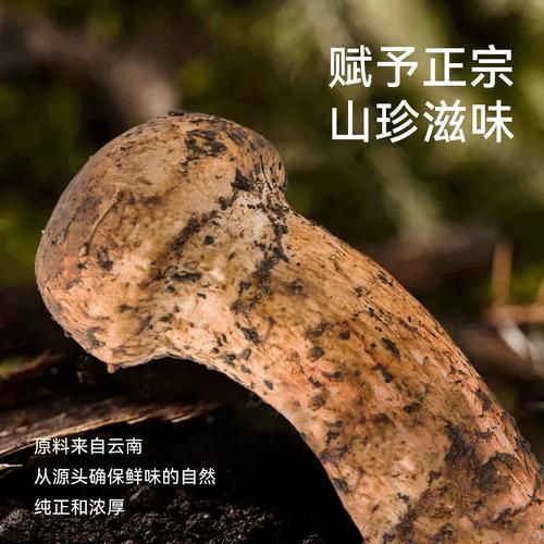 中国酱油哪个牌子好_酱油十大品牌排行榜-第2张图片-山城妙识