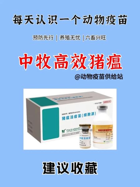 猪瘟疫情最新消息_如何预防猪瘟病毒-第3张图片-山城妙识 猪瘟疫情最新消息_如何预防猪瘟病毒-第3张图片-山城妙识