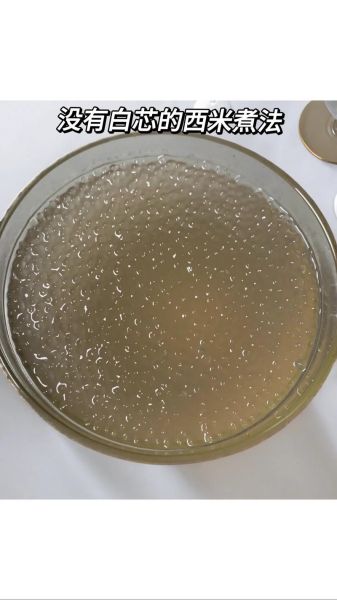 西米露虫叫什么_西米虫对人体有害吗-第1张图片-山城妙识