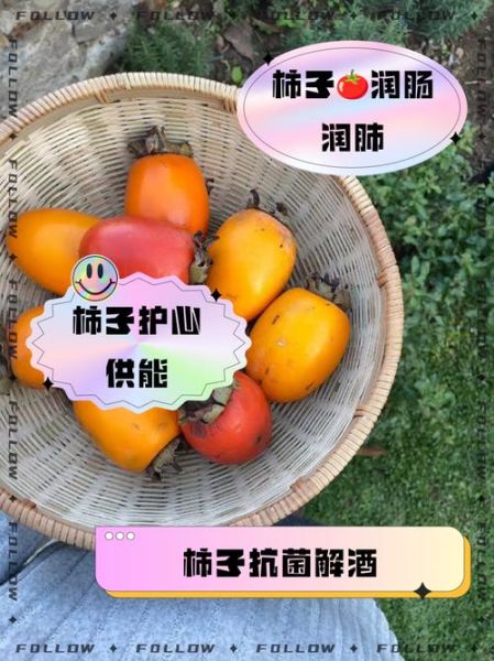 柿子营养价值_柿子功效与禁忌-第3张图片-山城妙识