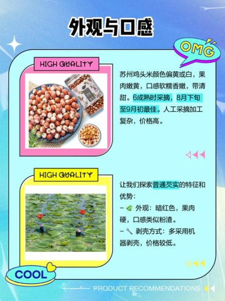 鸡头米是什么_鸡头米和芡实区别-第1张图片-山城妙识