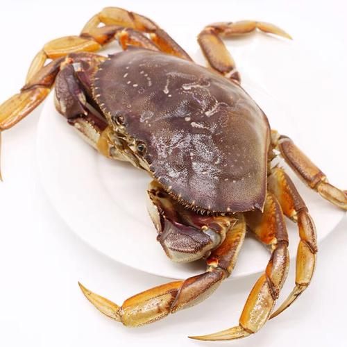 面包蟹和珍宝蟹哪个好吃_口感区别与选购技巧-第1张图片-山城妙识