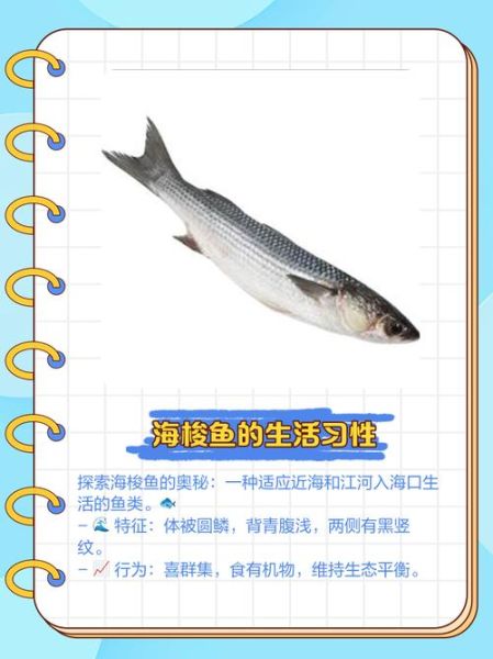 梭鱼有毒为什么还卖_梭鱼毒素怎么去除-第1张图片-山城妙识 梭鱼有毒为什么还卖_梭鱼毒素怎么去除-第1张图片-山城妙识