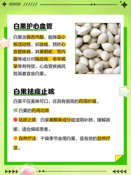 女人吃白果有什么好处_女人吃白果能美容吗-第2张图片-山城妙识