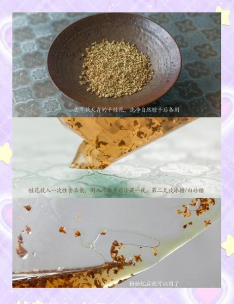 桂花糖浆的做法窍门_桂花糖浆怎么熬不苦-第3张图片-山城妙识