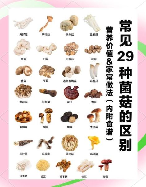 减肥为什么不能吃菌类_菌菇热量高吗-第2张图片-山城妙识