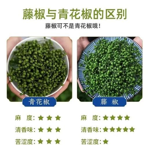 青花椒怎么保存_青花椒和藤椒的区别-第3张图片-山城妙识