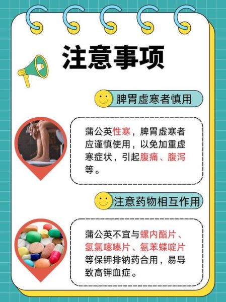 蒲公英的功效与作用_蒲公英的禁忌症-第3张图片-山城妙识