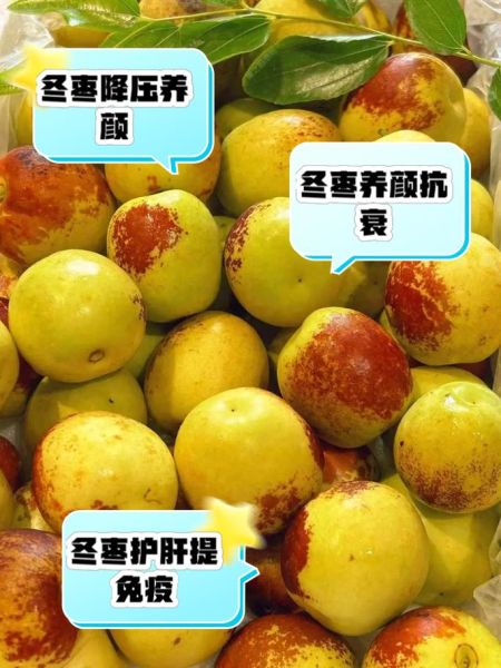 冬枣的营养价值_冬枣有哪些功效与作用-第1张图片-山城妙识