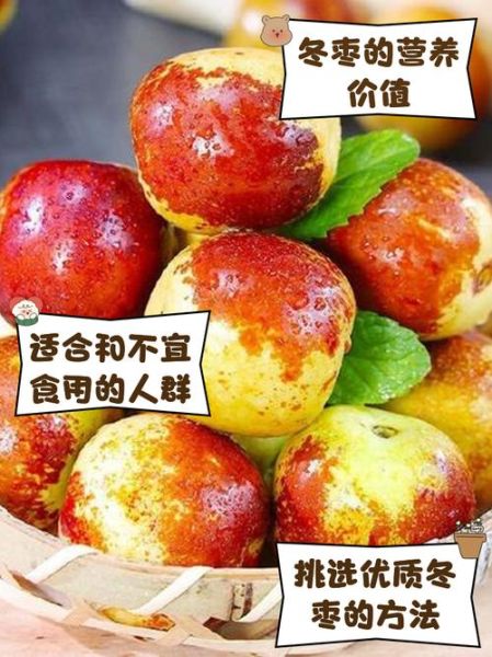 冬枣的营养价值_冬枣有哪些功效与作用-第2张图片-山城妙识