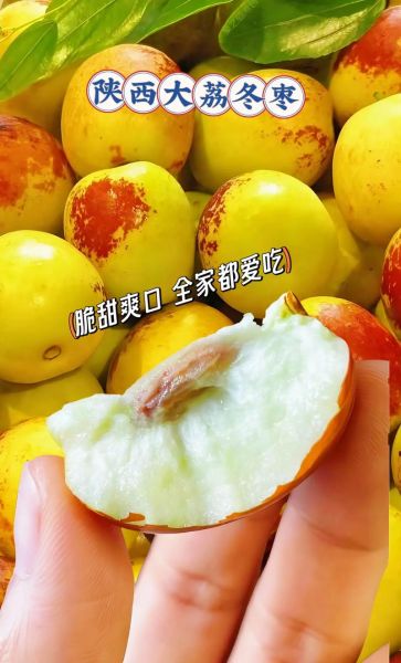 冬枣的营养价值_冬枣有哪些功效与作用-第3张图片-山城妙识