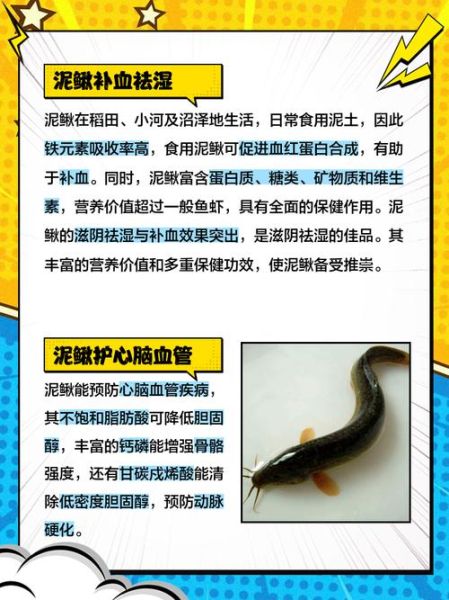 泥鳅的营养价值_泥鳅的禁忌有哪些-第1张图片-山城妙识