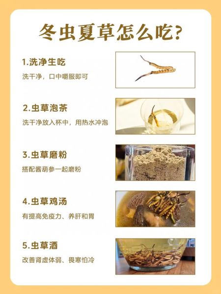 冬虫夏草怎么吃效果最好_冬虫夏草一天吃多少克-第3张图片-山城妙识 冬虫夏草怎么吃效果最好_冬虫夏草一天吃多少克-第3张图片-山城妙识